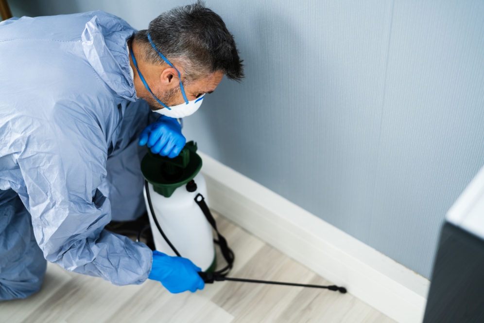 Expert Pest Control Services in Hennur Road